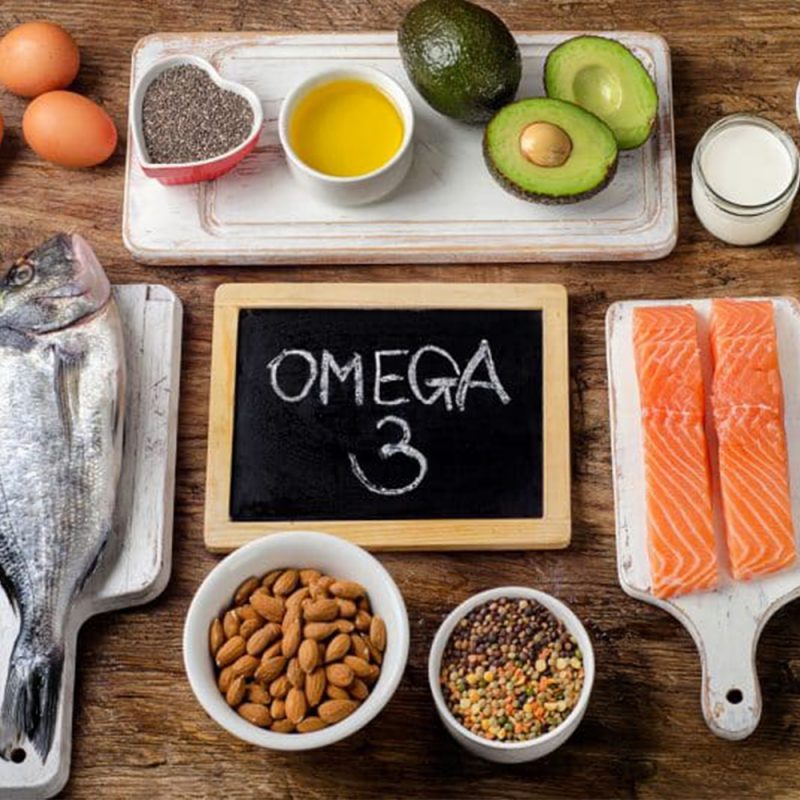 Feed – LemosPassos